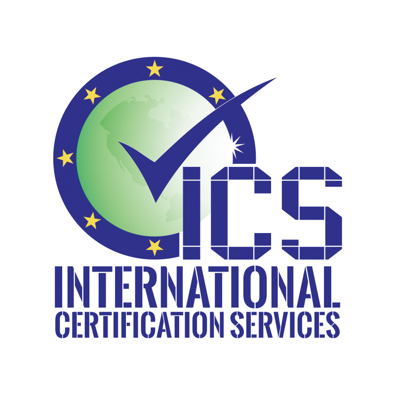 ISO 9001 – Quality Management Systems – ICS